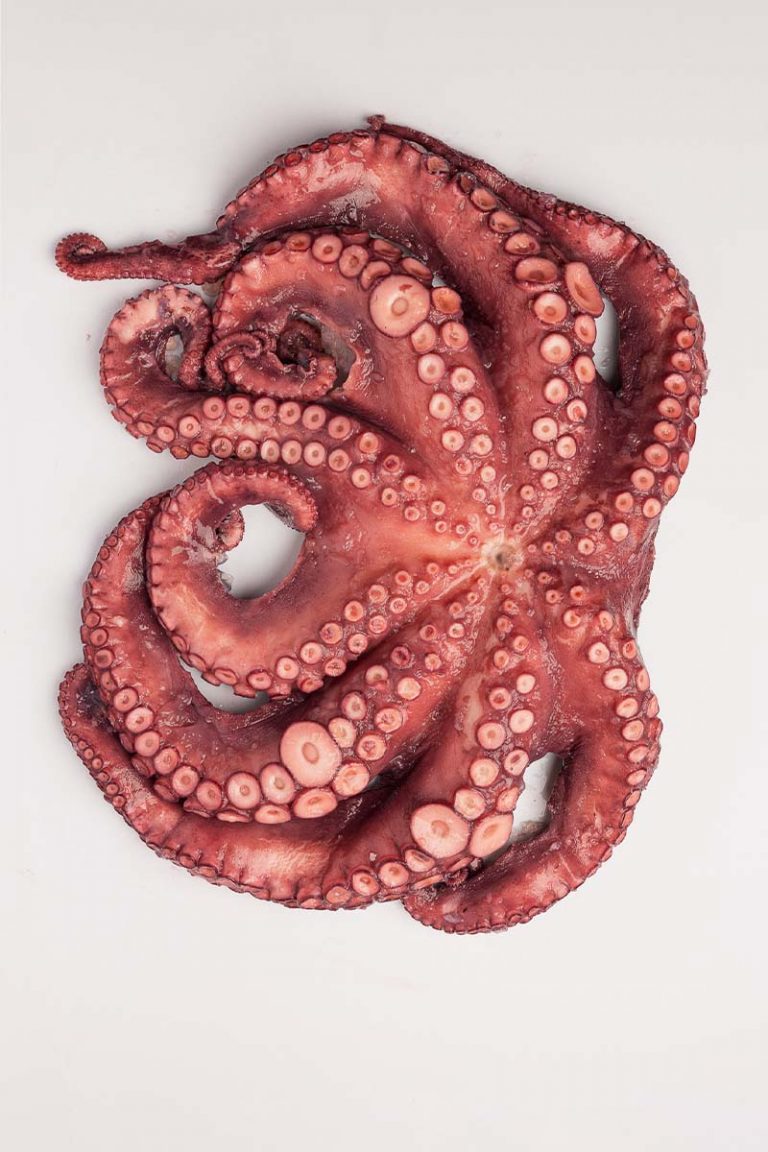 Pulpo nacional - Mariscos Caballero